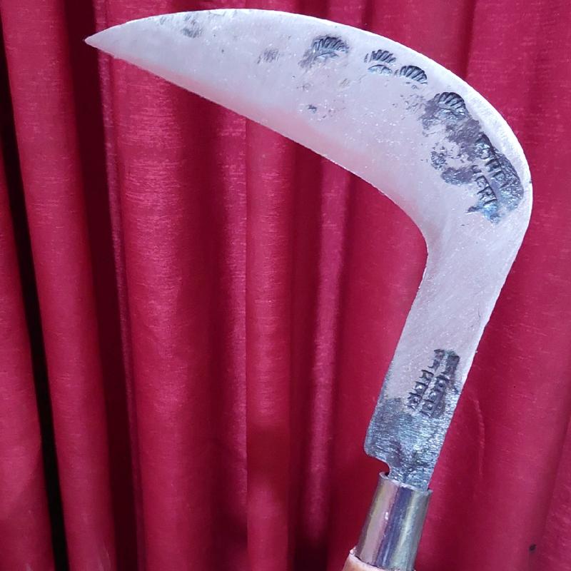 Arit rumput baja isen asli wonosobo cap mata - Shop | Tokopedia