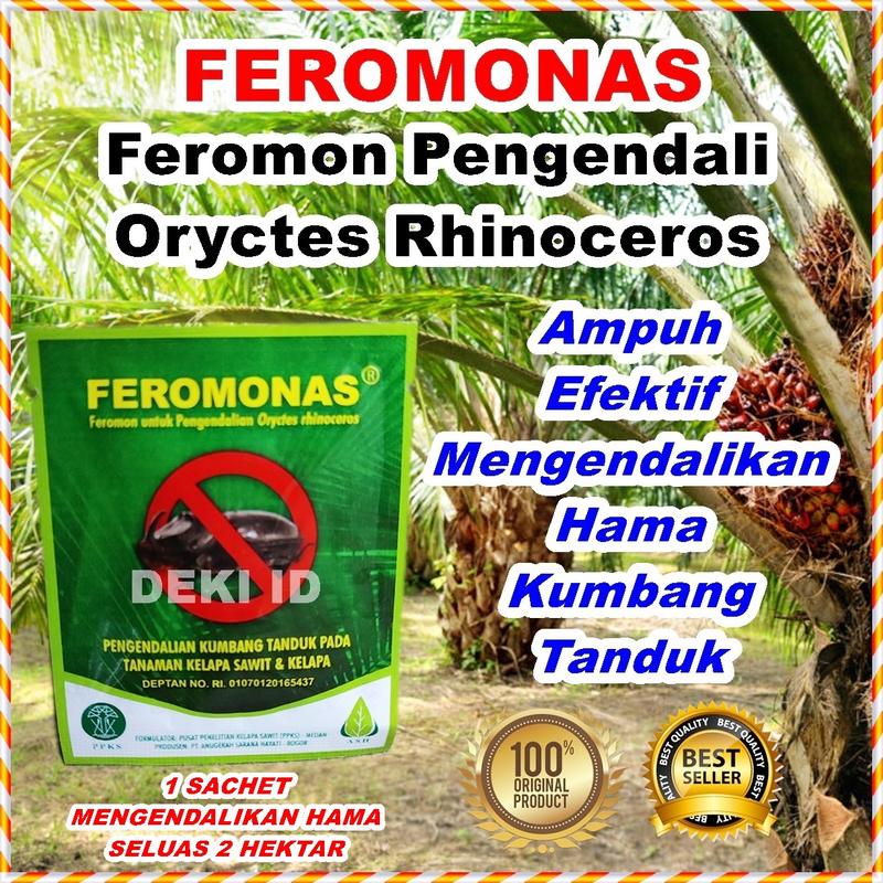 Feromonas Feromon Pengendali Hama Kumbang Tanduk Kelapa Sawit PPKS ...