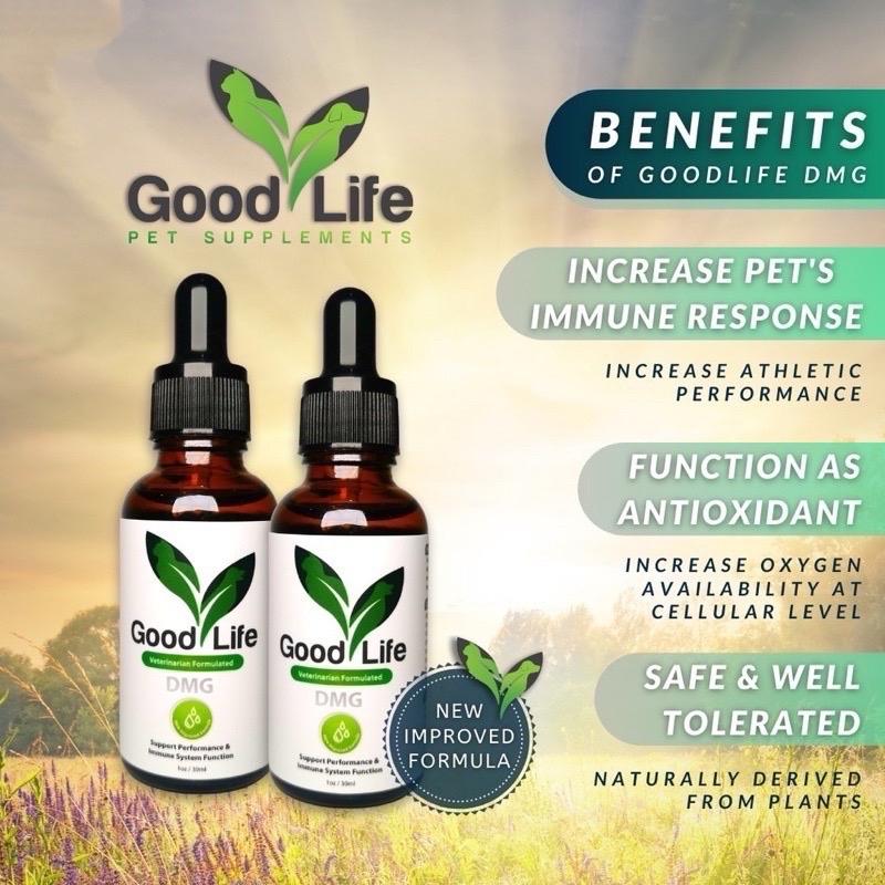 GoodLife Dmg Immune Booster 30ml - TikTok Shop Malaysia