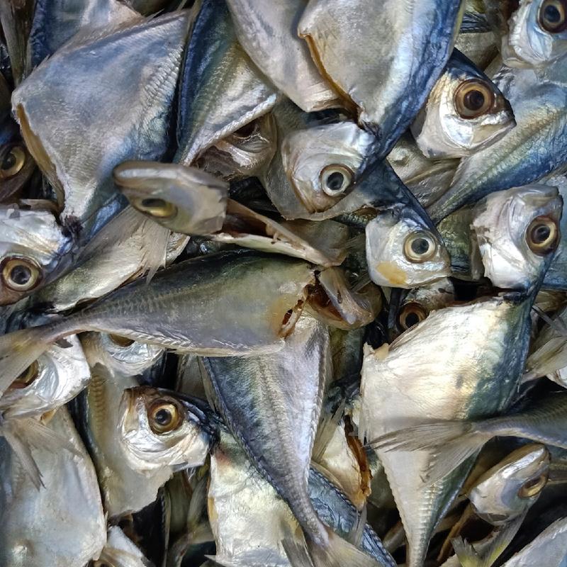 Ikan Kering Pelata qelate - TikTok Shop Malaysia