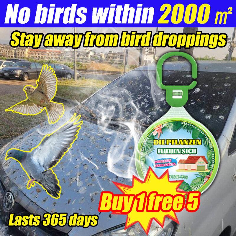 No birds within 200 ㎡ bird repellent outdoor pigeons repellent - TikTok ...