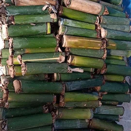 umpan ikan ulatbambu isi25 - Shop | Tokopedia