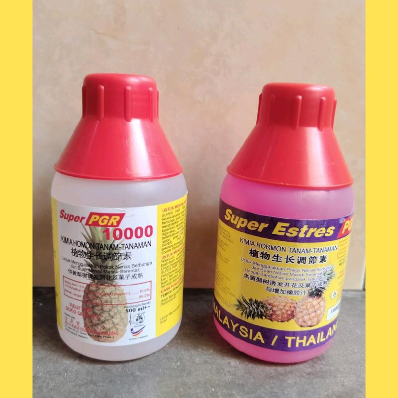 super ethephon PGR,ubat nanas kimia hormon tanam- tanaman pokok ...