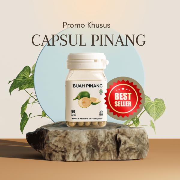 Pinang Muda 100% Murni Biji Pinang Muda Yang di Keringkan Capsul Pinang ...