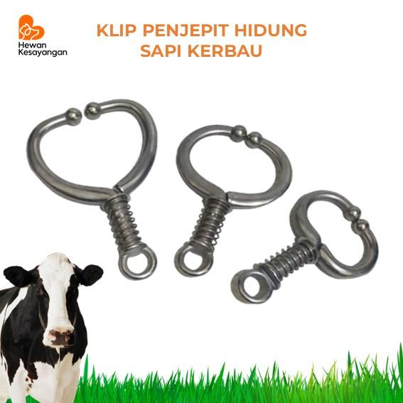 Klip Penjepit Hidung Sapi Stainless Steel - Shop | Tokopedia