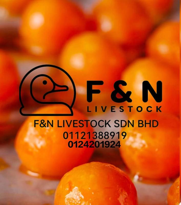 F & N LIVESTOCK SALTED EGG YOLK (KUNING TELUR MASIN) Food Snacks ...