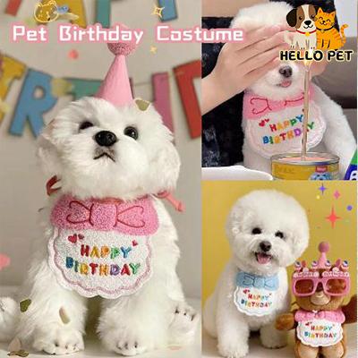 Pet Dogs Caps and Scarf for Birthday Party Dress Up Cute Hat - TikTok ...