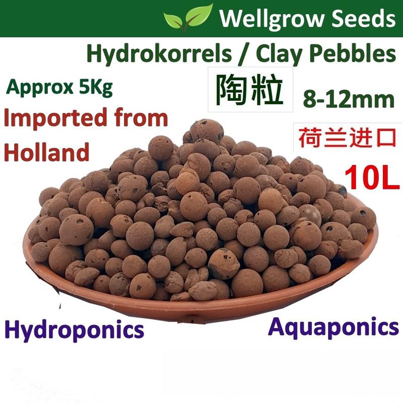 10L Hydrokorrels Leca (8-12mm) Holland Clay Balls/Clay Pebbles/Hydro ...