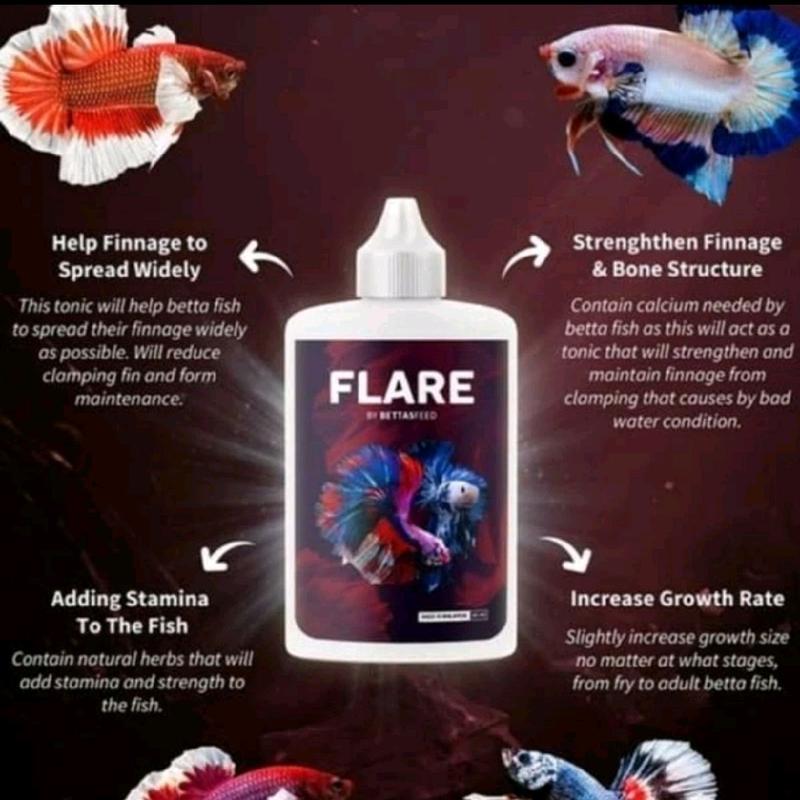 Betta Fish Flare Tonic 40ml - TikTok Shop Malaysia