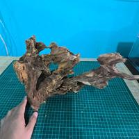Jual Kayu Rentek Hardscape Aquarium Aquascape kayu rentek size M,L,XL ...