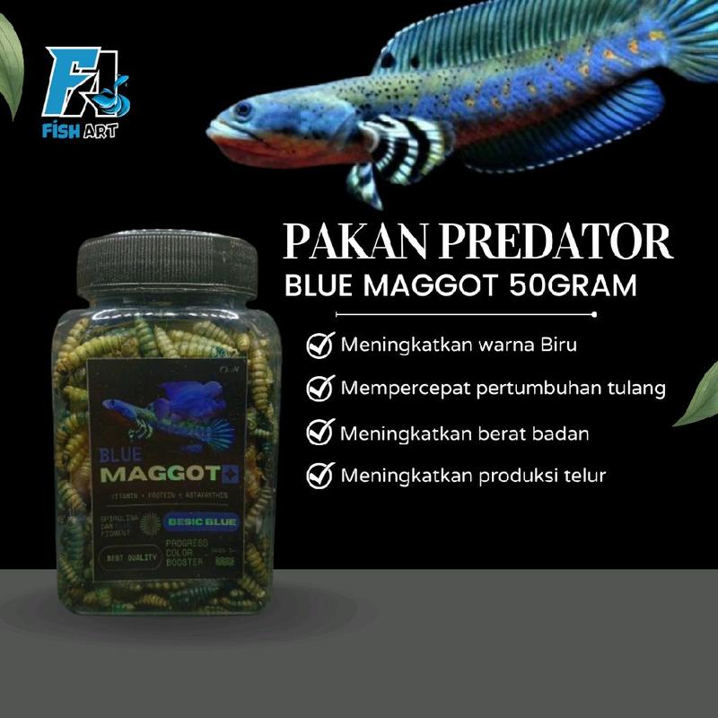 Fish Art • Blue Maggot 50gram Pakan Predator Channa Blue Pulcra - Shop ...
