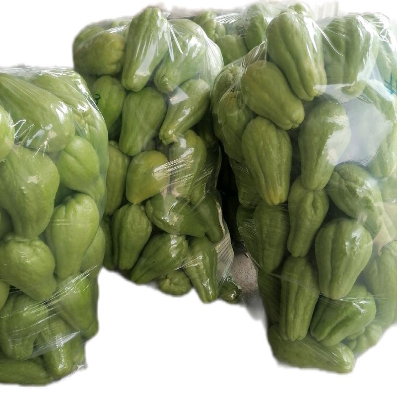 Chayote organic good taste for cooking as a food 1 kg Grain - TikTok ...