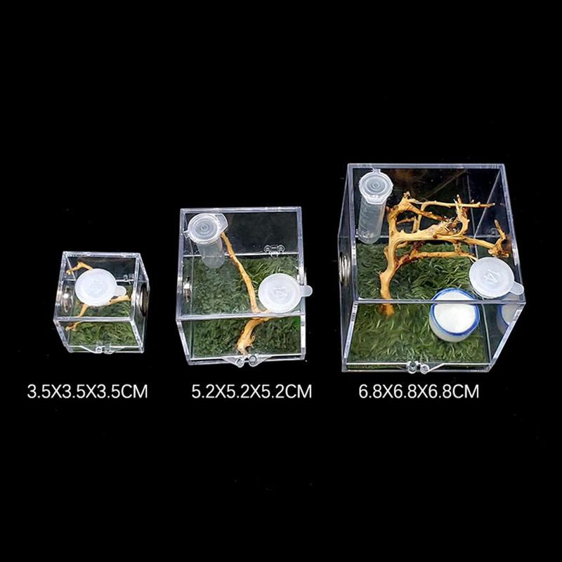 Terarium Serangga Bernafas, Penyumpan Air Ladang Semut, Labah-labah ...