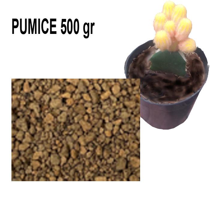 Termurah Pumice 500gr Batu Apung Media Kaktus dan Tanaman Hias - Shop ...