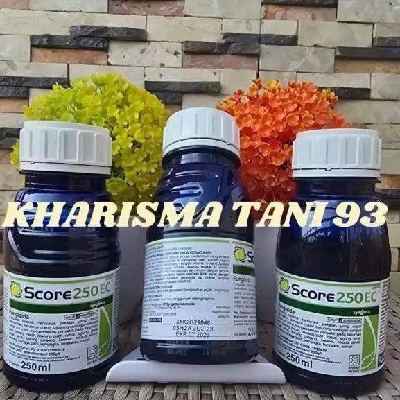 fungisida Score 250EC 250ml - Shop | Tokopedia