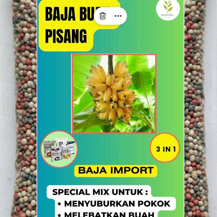 BAJA POKOK PISANG IMPORT (3 IN 1) - TikTok Shop Malaysia