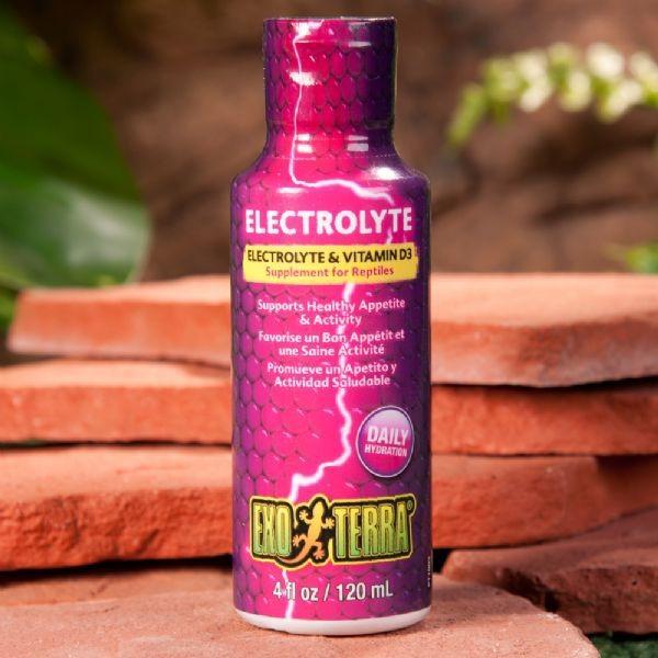Reptile Electrolyte Exo Terra ELECTROLYTE VITAMIN D3 SUPPLEMENT - TikTok Shop Malaysia