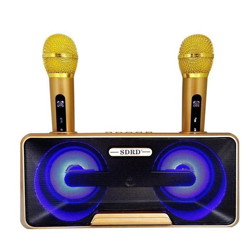 SDRD SD-301 Wireless Bluetooth Dual Microphone Karaoke Portable ...