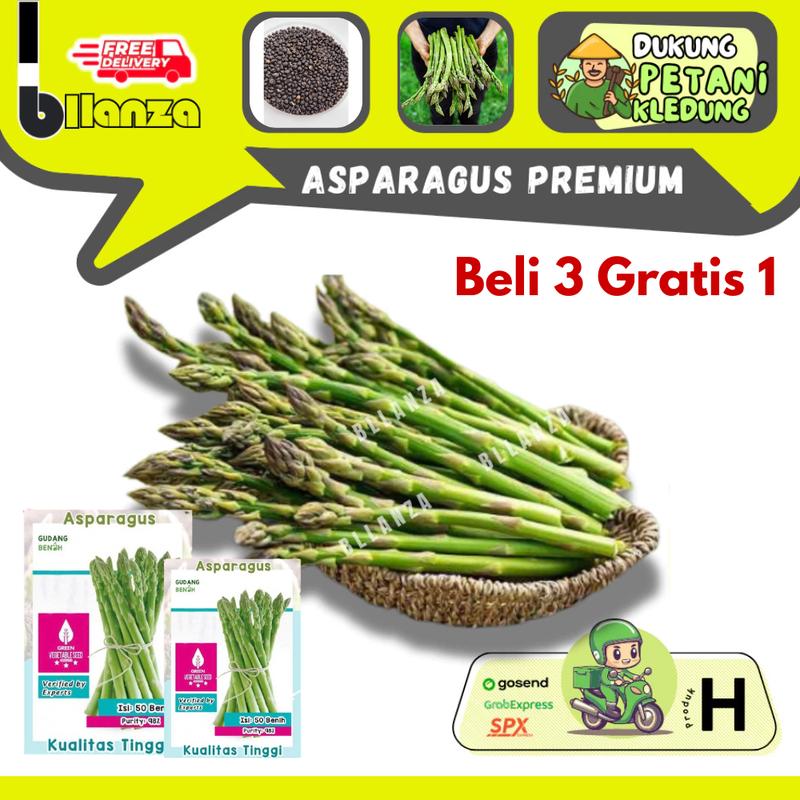 (Beli 3 Gratis 1) GROSIR 50+ Benih Biji - Asparagus F1 Varietas - Shop ...