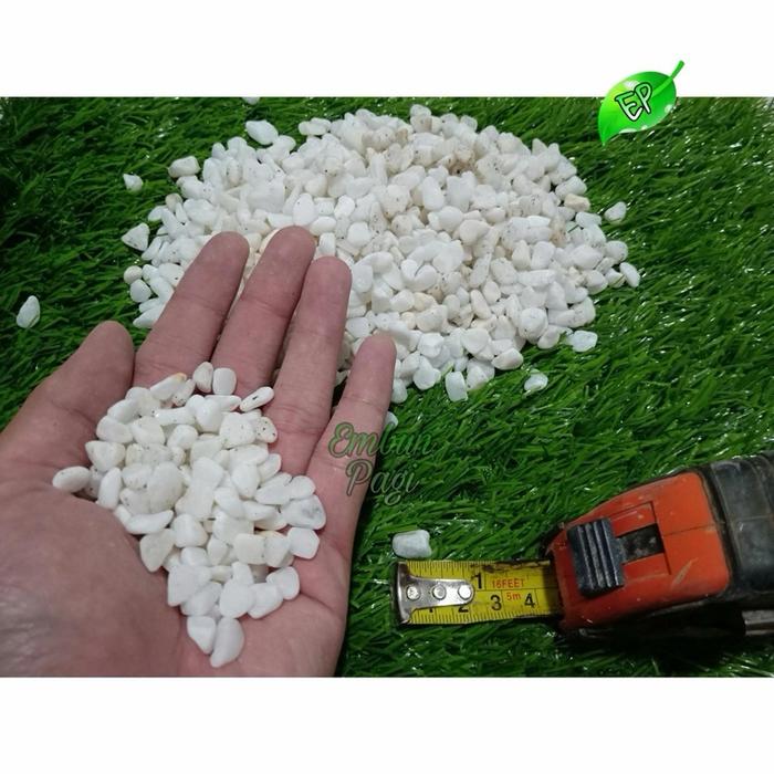 Jual Batu koral putih italy import 10kg - M - Kota Tangerang Selatan ...