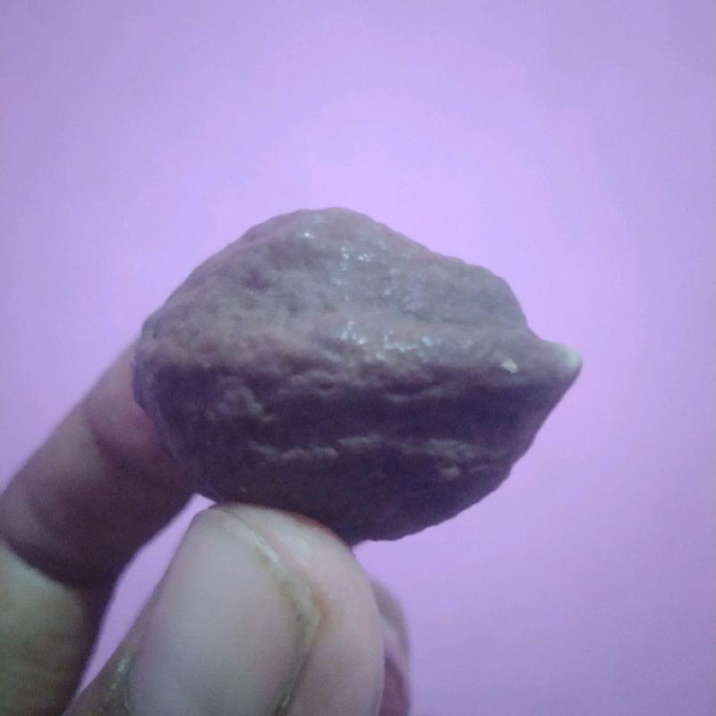 Jalim puma ,jalim produk jawa, jalim Toy - Shop | Tokopedia