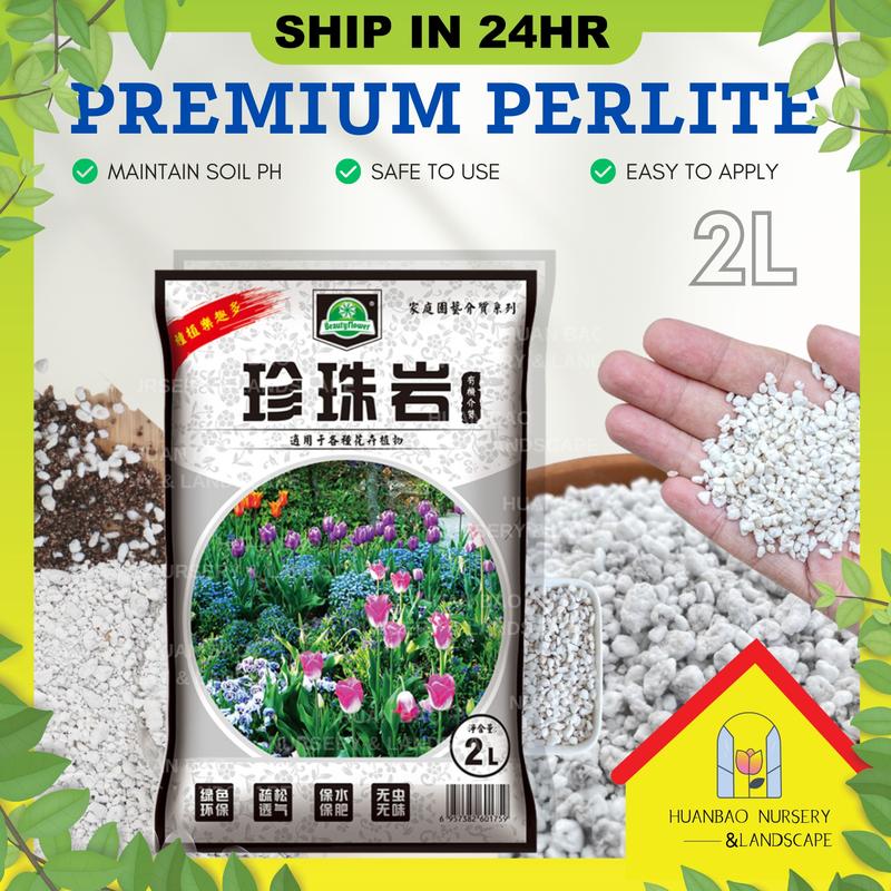Perlite 2L Planting Soil 3-6mm For Cactus & Succulents Natural - TikTok ...