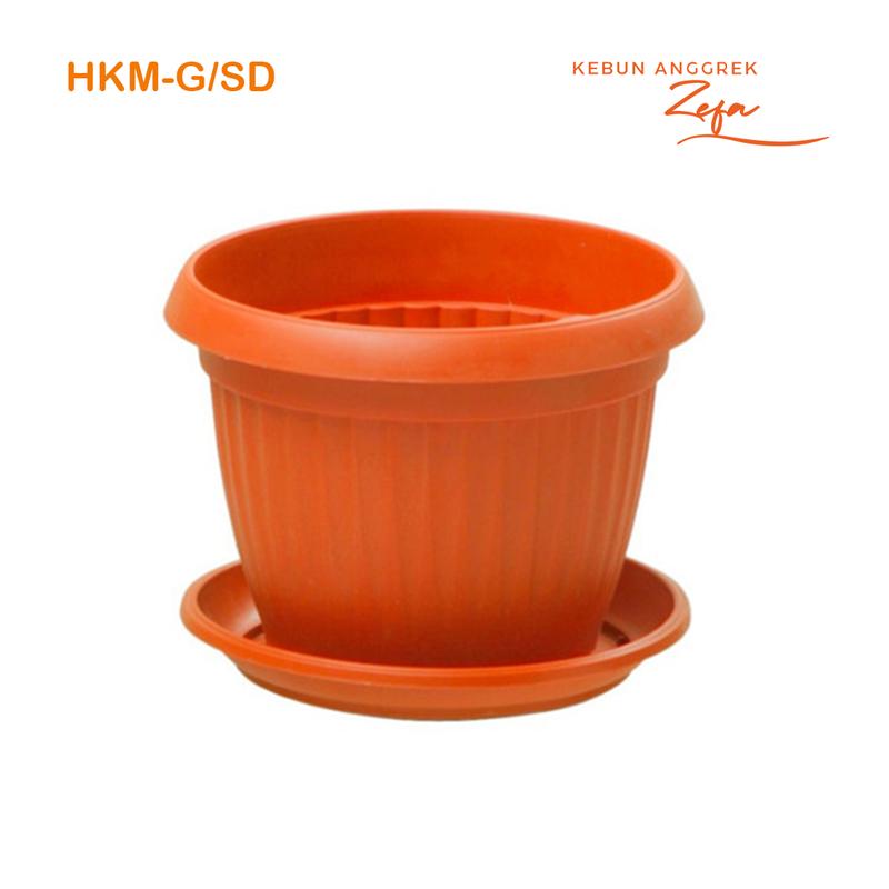 Soft Pot untuk GRAMATHOPHYLLUM DWS (HKM-G/SD) - Shop | Tokopedia