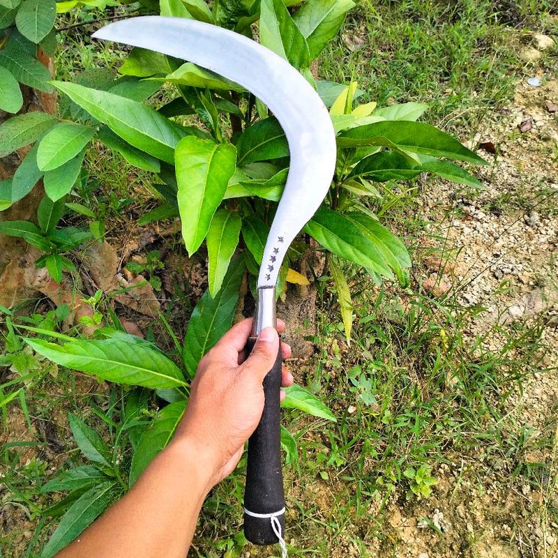 Sabit potong rumput,tebu,padi - Shop | Tokopedia