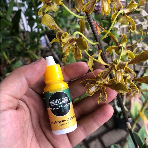 BOOSTER TANAMAN SUPER MIRACLE GROW 20ML - Shop | Tokopedia