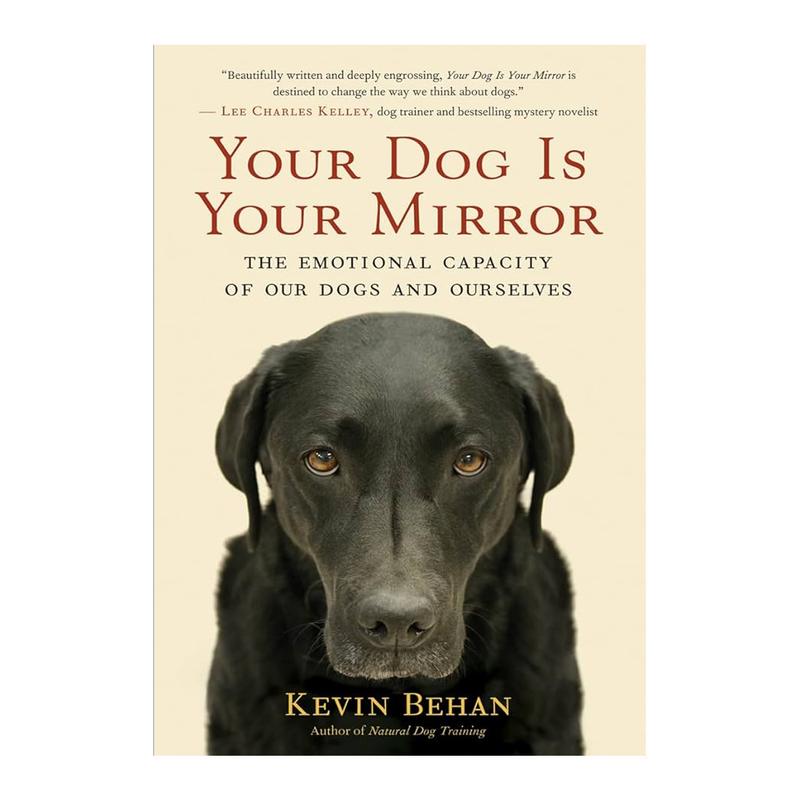 Your Dog Is Your Mirror: The Emotional Capacity of Our Dogs and ...