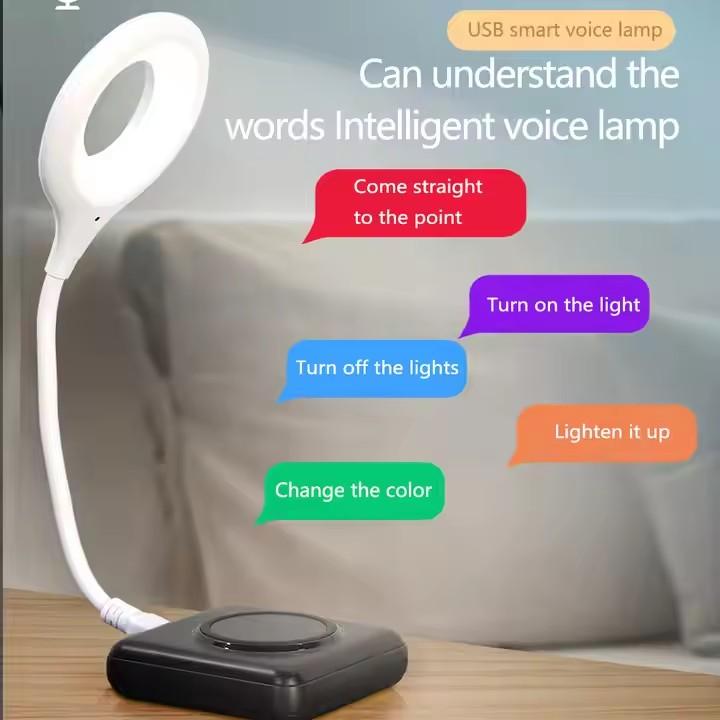 Intelligent voice USB night light LED voice light bedroom bedside ...