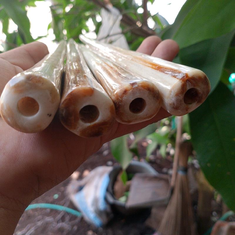 bambu Moncong marlin panjang 20 cm - Shop | Tokopedia