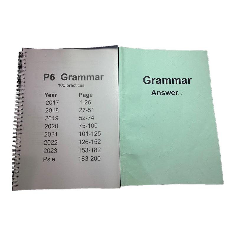 P6 Grammar practice Paper - TikTok Shop Singapore