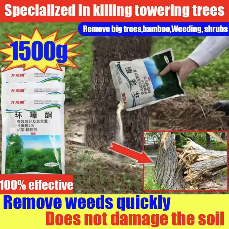 Root rot of century-old Bamboo killer 500g Racun pokok kayu besar ...
