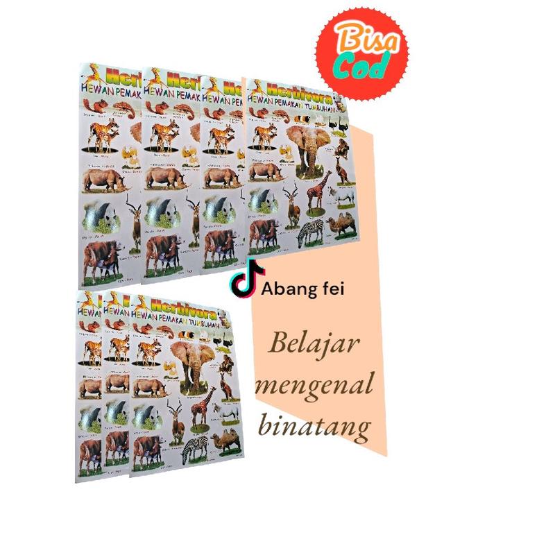 Abang fei Mengenal Gambar Binatang Edukasi Belajar Mengenal Binatang ...