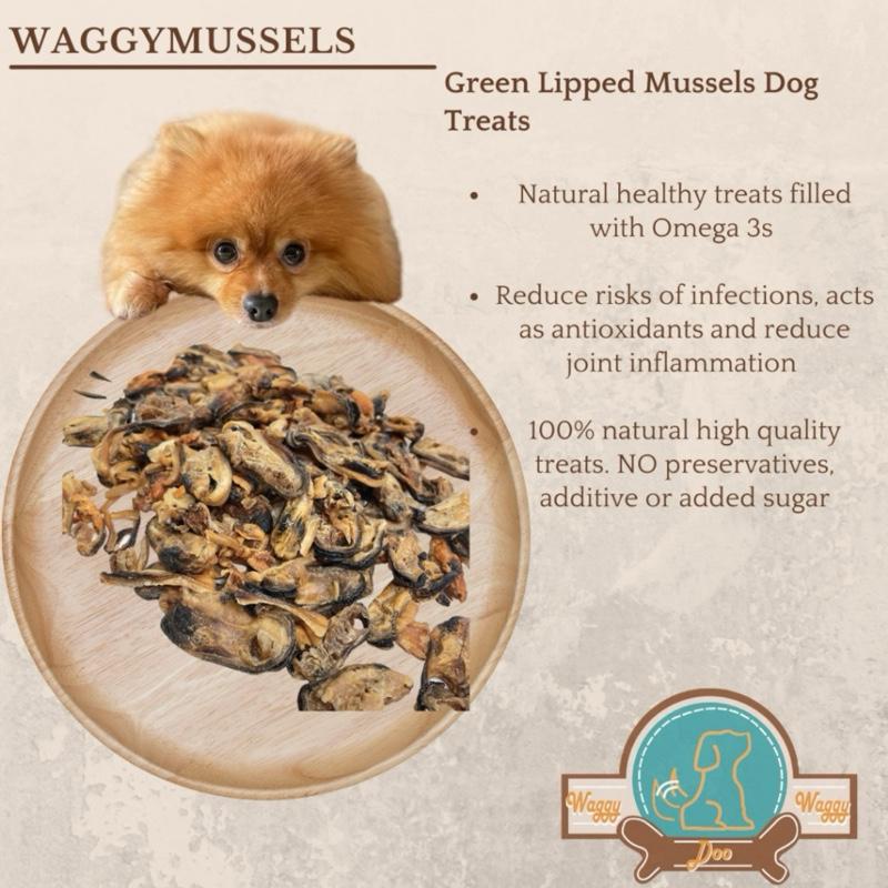 Green Lipped Mussels (Whole) | Dog Treats | Dehydrated Dog Treats ...