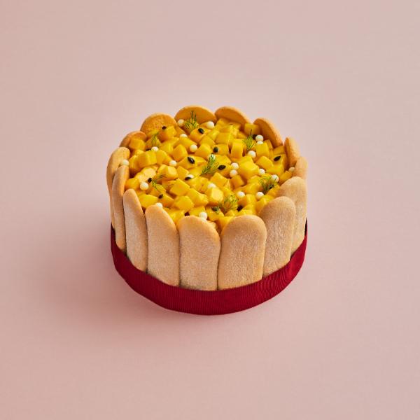 LUNA Patisserie - Mango Charlotte Cake - TikTok Shop Singapore