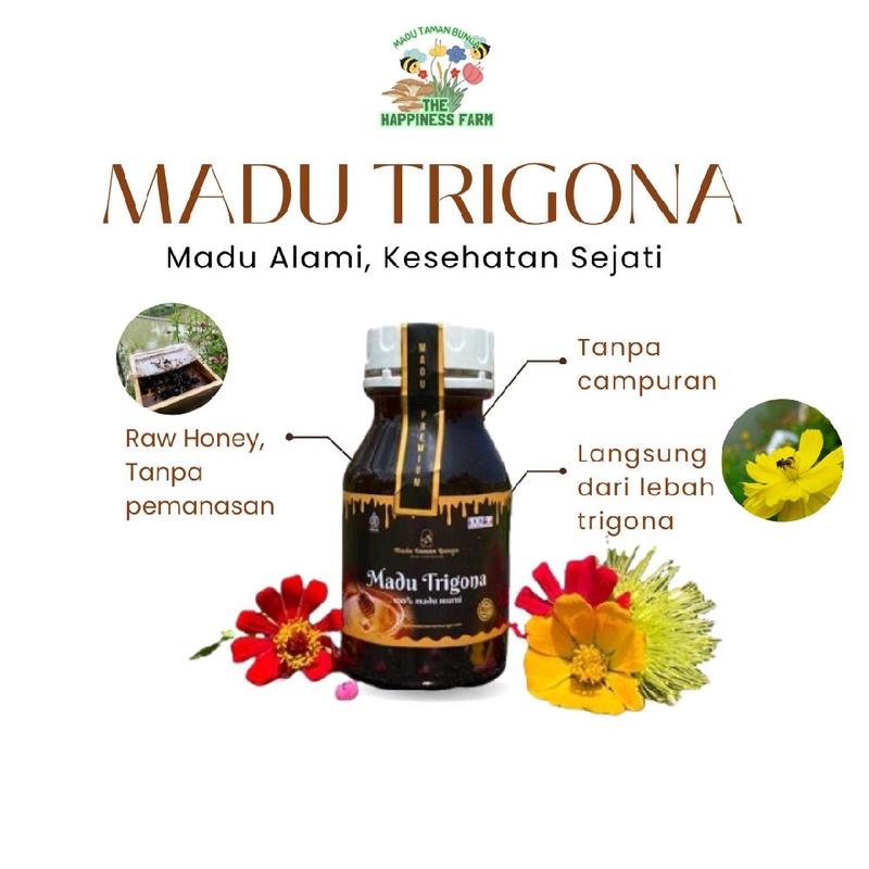 Madu Trigona 100% Madu Murni Raw Honey 250ml Madu Kadar Gula Rendah ...