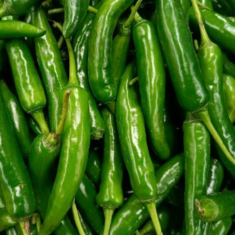 cabe ijo besar/cabe gebog fresh 500gram/1kg - Shop | Tokopedia