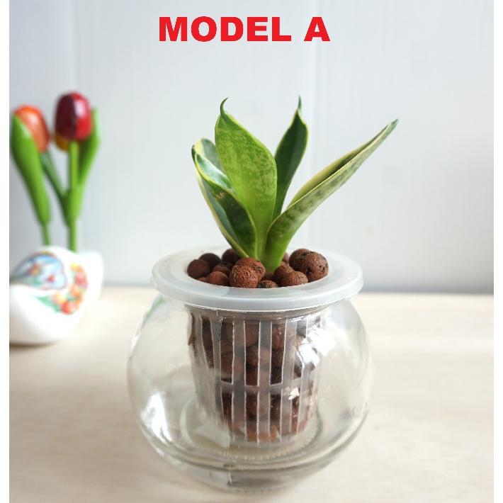 Self Watering Pot Kaca/Vas Hidroponik Kaca/Vas Kaca Minimalis Indoor ...