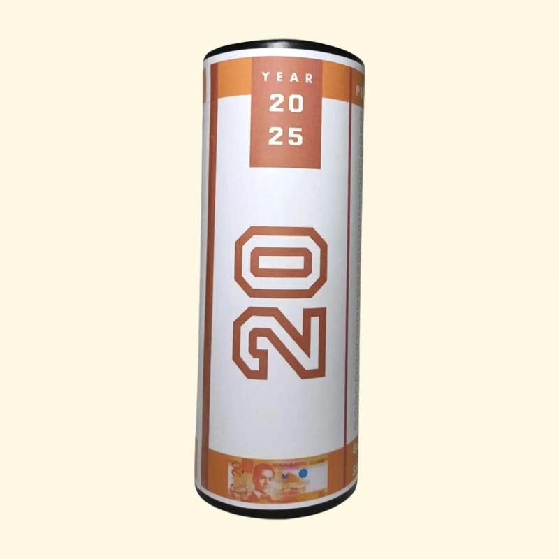 Alkansya Ipon Challenge 2025 Newest Design Coin Banks for Money ...