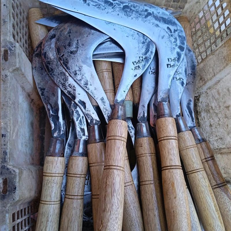 Arit Rumput Baja perr Ferr Peralatan Kebun - Shop | Tokopedia