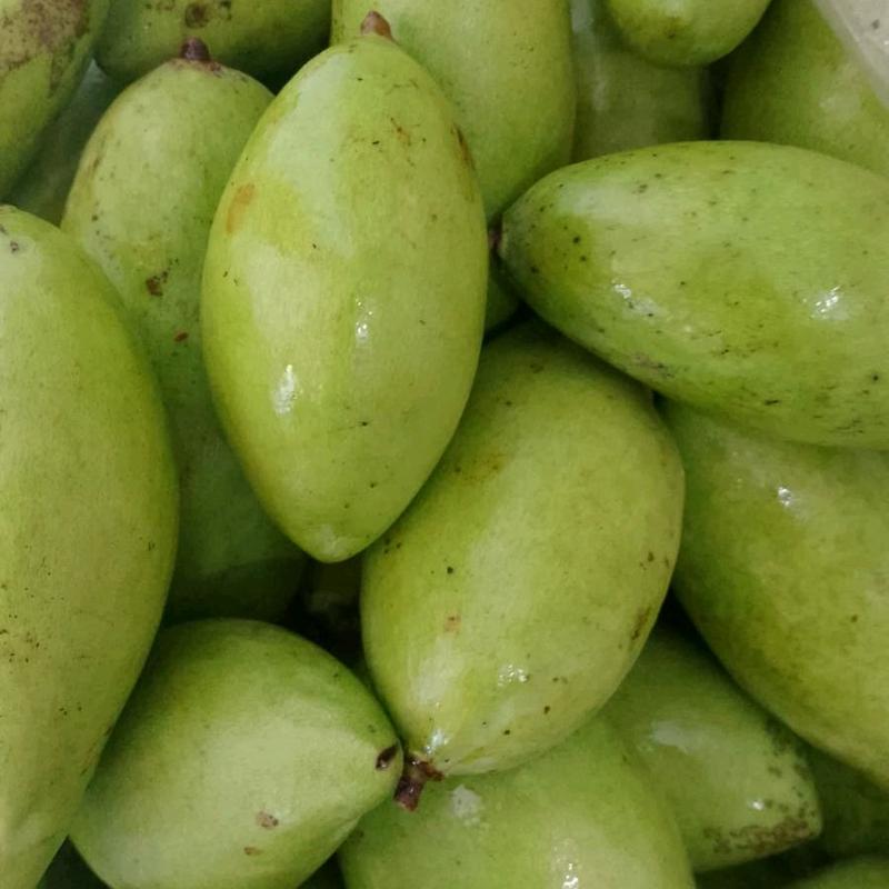 Mangga Muda Isi 500gram Cocok Buat Asinan Dan Rujak Segar Dan Lezat ...