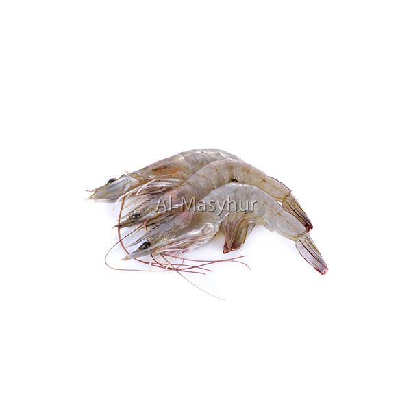 G01 - Grey Prawn (S) 1kg (Udang Kelabu) - TikTok Shop Singapore