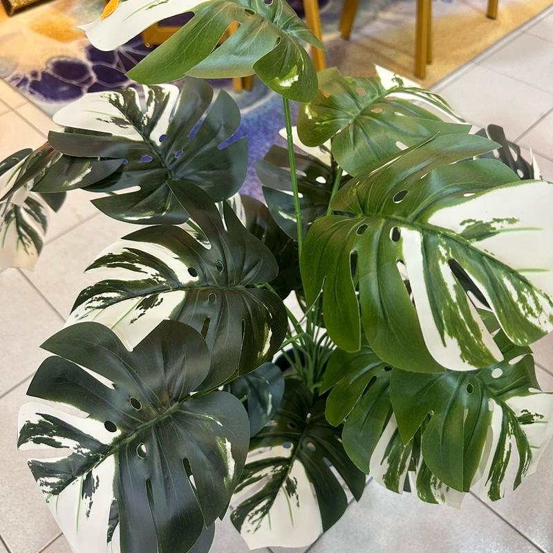 Pokok mini viral pasu besi 2in1 - TikTok Shop Malaysia