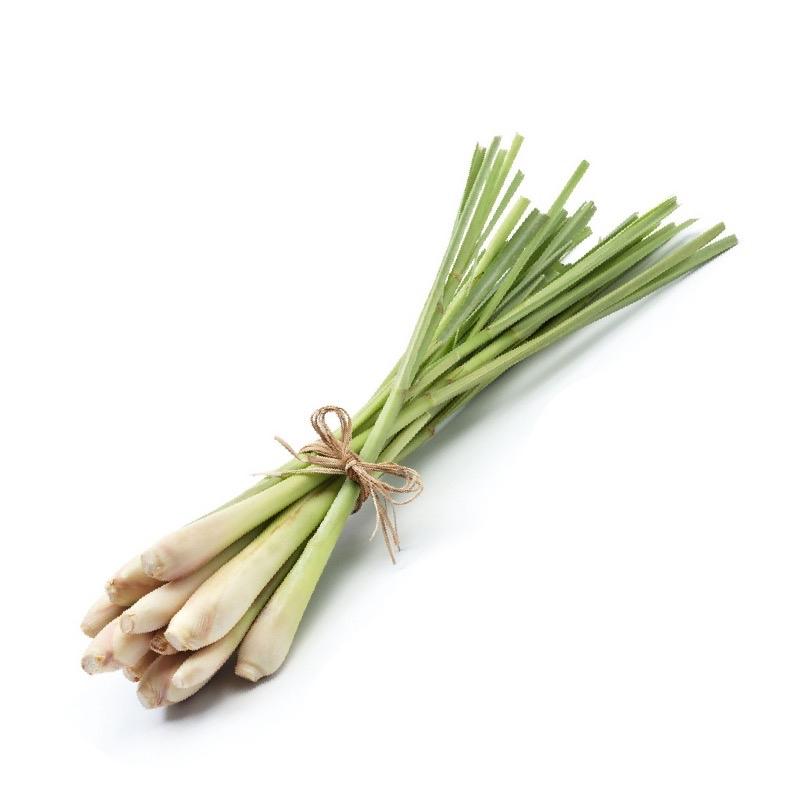 Ready serai 1 ikat 10 batang - TikTok Shop Malaysia