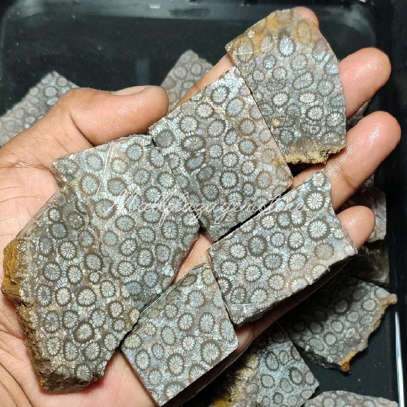 batu teratai sarang tawon bahan / bongkahan batu sarang tawon - Shop ...