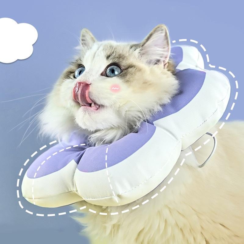 [SG Stock] Pet E collar Elizabeth cone water proof prevent licking ...