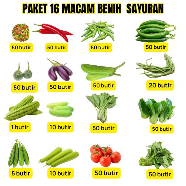 BENIH BIBIT SAYURAN SERIBUAN VARIAN LENGKAP MUDAH TUMBUH TANAMAN DAUN ...