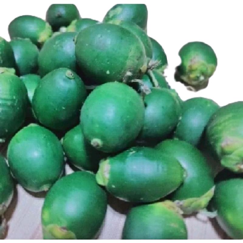 Buah pinang muda segar per 10 biji - Shop | Tokopedia